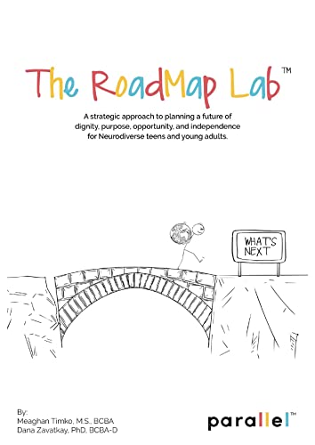 The RoadMap Lab: A Strategic Approach to Planning a Future of Dignity ...