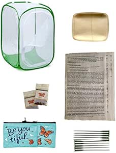 Monarch Butterfly Raising Kit : Amazon.in: Home & Kitchen