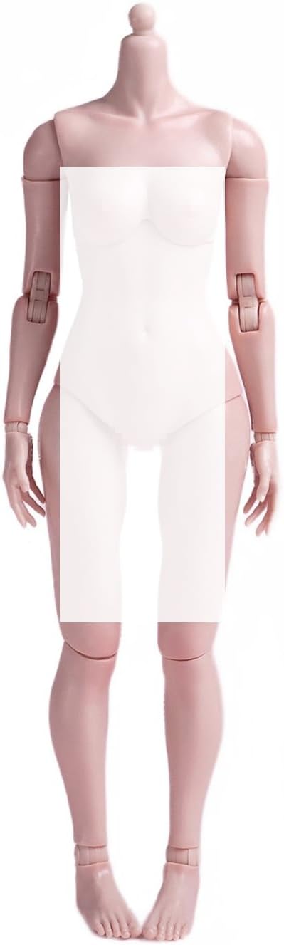 Amazon.com: YSBRING worldbox AT201 1/6 Scale Female Seamless Body 12 ...