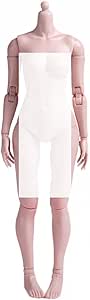 Amazon.com: YSBRING worldbox AT201 1/6 Scale Female Seamless Body 12 ...