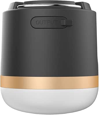 EF ECOFLOW Camping Light for Outdoor Camping/RVs/Home Use : Amazon.com ...