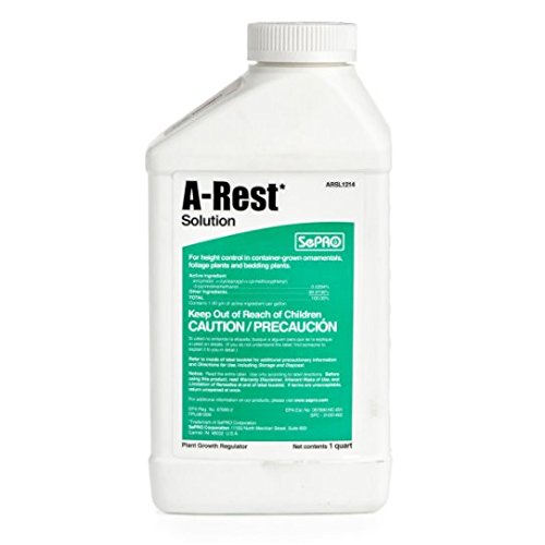 Amazon.com : SEPRO TECHNOLOGIES A-Rest PGR 32oz- Plant Growth Regulator ...
