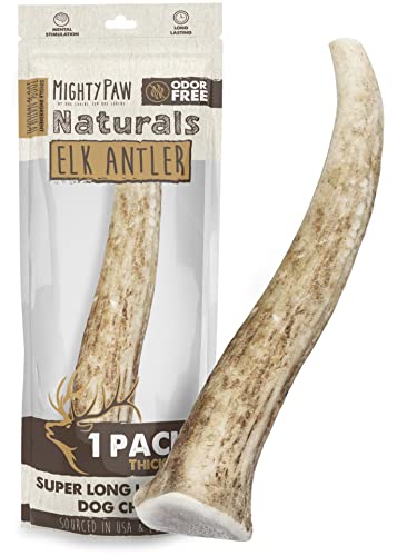Top 10 Best Elk Antlers For Dogs : Reviews & Buying Guide - Katynel
