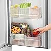 Amazon.com: Poeland Refrigerator Organizer Box, Fridge Side Door ...