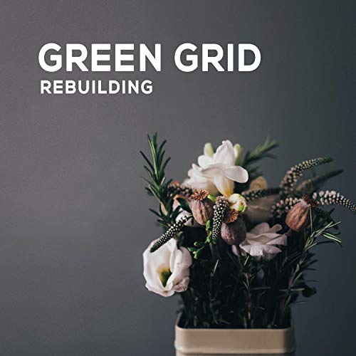Amazon.com: Rebuilding : Green Grid: Digital Music
