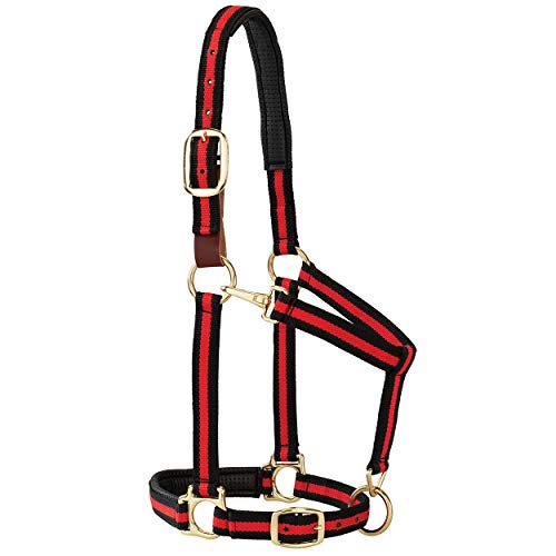 Ride in Style: Top 10 Red Horse Halters Reviewed and Recommended ...