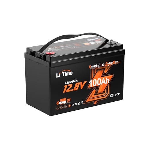 Litime 12V 100Ah TM Bluetooth Low-Temp Protection LiFePO4 Battery Buit ...