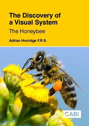 Buy DISCOVERY OF A VISUAL SYSTEM - THE: The Honeybee: Light Guides ...