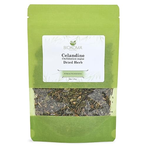 How to Make Celandine Tea - 6 Amazing Health Uses