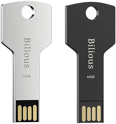 Amazon.com: Bilious USB Keychain Flash Drive 2PCS 64GB, Metal Style ...