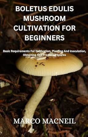 Boletus Mushroom Cultivation For Beginners: Basic Requirements For ...