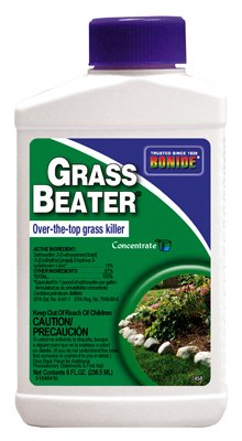 Top 10 Best Grass Killer For Gardens : Reviews & Buying Guide - Katynel