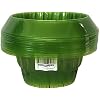 Selections Plastic Slug & Snail Barrier Plant Seedling Protection ...