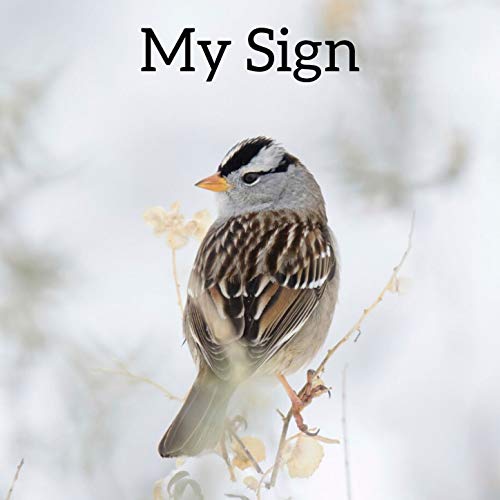 Amazon.com: My Sign : Thunderbound Productions, Hi-Fi Camp and Yoga ...