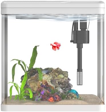 Amazon.com : 2 Gallon Glass Small Fish Tank Starter Kits - Betta Fish ...