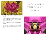 【発売日：2024年08月21日】