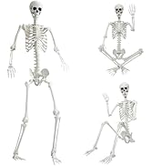 Amazon.com: 5.9Ft Halloween Skeleton Posable Skeleton Life Size ...