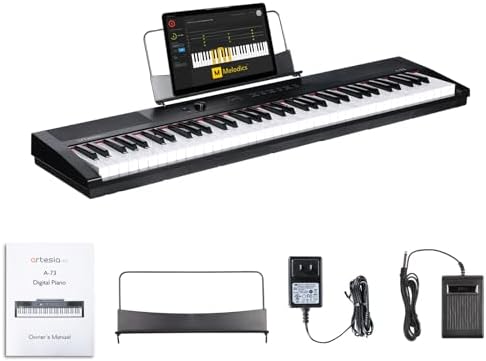 Amazon.com: NUX NPK-20 Portable Digital Piano, 271 Sounds, 88-Key ...