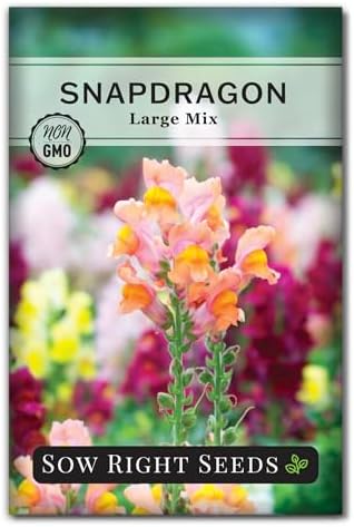 Amazon.com : 400+ Heirloom Snapdragon Flower Seeds Tall Mixed Colors ...