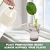 Amazon.com : Plant Propagation Friends, 3PCS Leaf Buddy Plant Support ...