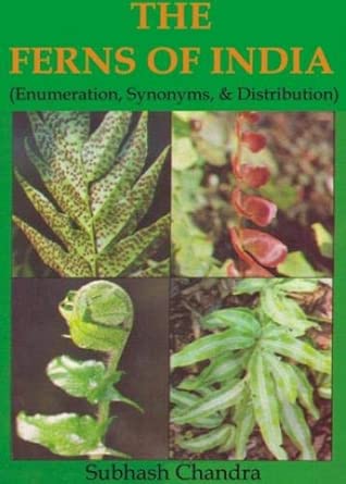 The Ferns of India: Enumeration, Synonyms and Distribution : Chandra ...