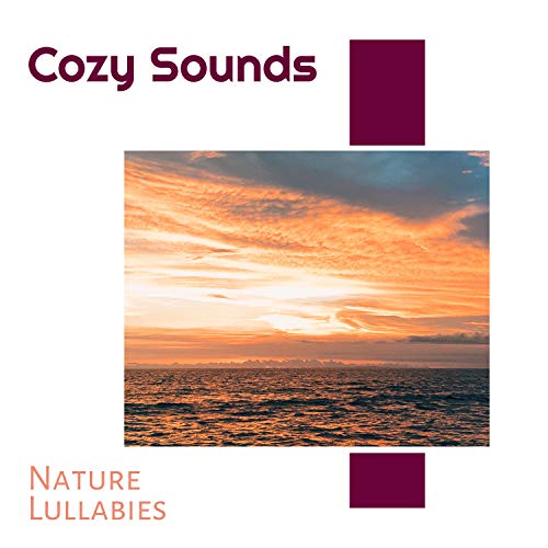 Amazon Music - VARIOUS ARTISTSのCozy Sounds - Nature Lullabies - Amazon ...
