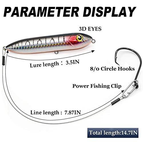 Chunky Catfish Rigs for Lake and River Bank Fishing