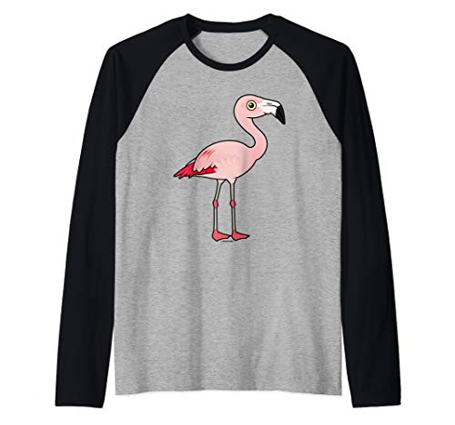 Learn About Flamingos