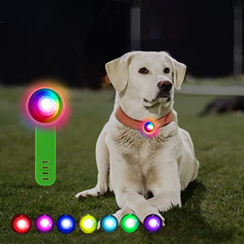 Leuchten Fur Hunde
