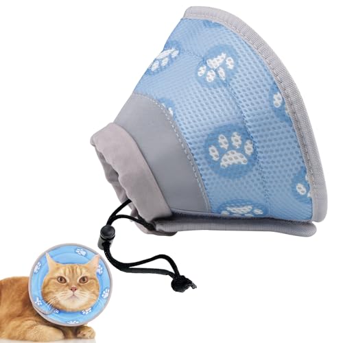 Collerette Pour Chat – Les 15 meilleurs produits dans la comparaison ...