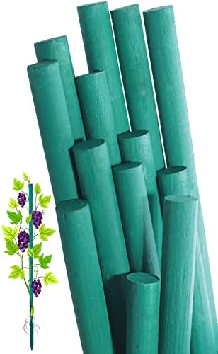 Blooms Natural Teak Wooden Support Sticks 3 Feet (92 Cm) (Pack of 18 ...