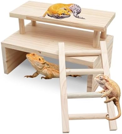 Amazon.com : Bearded Dragon Basking Platform, Wooden Double Layer ...