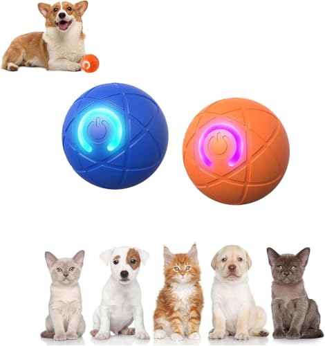 10 Best Smart Ball For Dogs