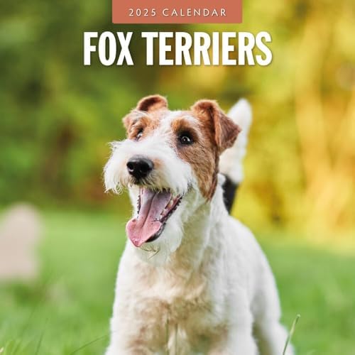 Amazon.com: Red Robin 2025 Fox Terriers Monthly Wall Calendar | 12" x ...