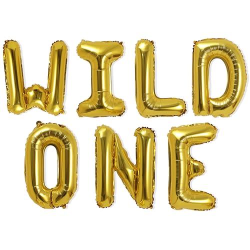 How to Plan a Wild One First Birthday Theme Party