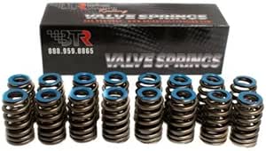 Amazon.com: BTR .550" LIFT GEN V LT L83 L84 L86 L87 BEEHIVE VALVE ...