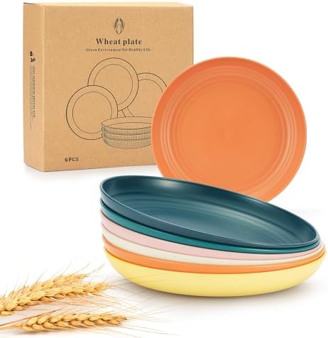 Amazon.com | Homienly Deep Dinner Plates Set of 8 Alternative for ...