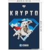 Amazon.com: DC Studios Superman (2025) - Krypto Wall Poster, 34L" x 22 ...