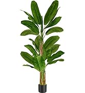 Amazon.com: Worth Garden 4ft Artificial Areca Palm Plant, Fake Cane ...