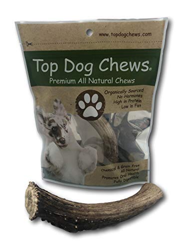 What Dog Chews Last The Longest