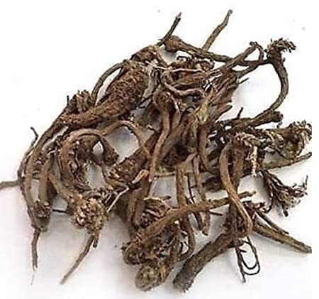 Safed Aak Plant Root Powder, 50Gm, Aak Ki Jad : Amazon.in: Garden ...