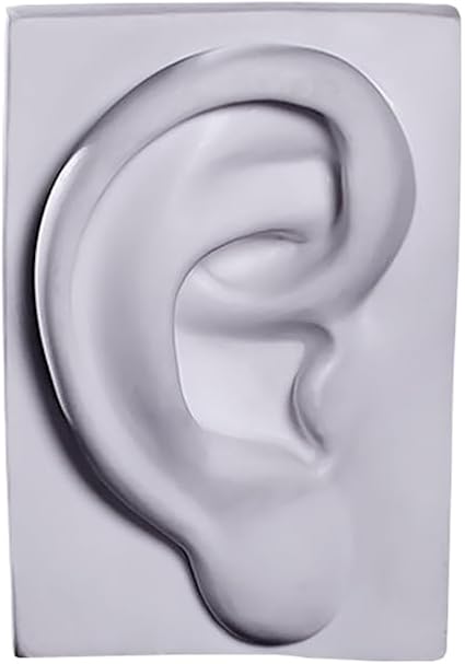 Amazon.com: YANGJJ Resin Plaster Sculpture of Facial Features (Eyes ...