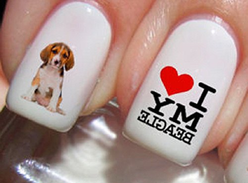 Amazon.com: Beagle Nail Art Stickers Decals Set of 37 : Beauty ...