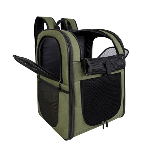 10 Best Cat Backpacks For Large Cats [2025]