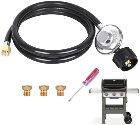 Amazon.com : Elyaspedy Upgraded 23080901 Natural Gas to Propane ...