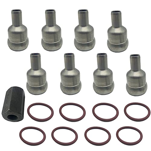 Amazon.com: High Pressure Oil Rail Leak Repair Seal Kit with Tool Fuel ...