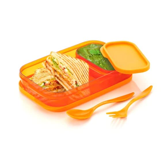 Buy Europe Mart® Plastic Compact Lunch Box Set, 850 Ml, 1 Pieces of ...