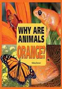 why-are-animals-orange: Melissa Stewart: 9780766032507: Amazon.com: Books