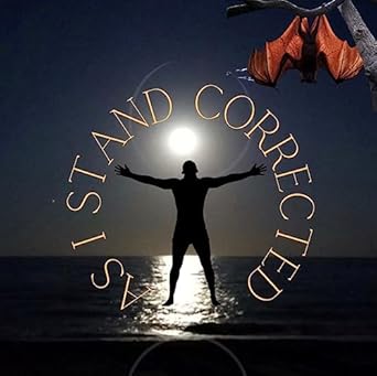 As I Stand Corrected - Kindle edition by Shakoor, Diya. Literature ...