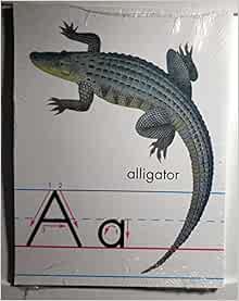 ZB Set of Large Alphabet Cards: Zaner-Bloser: 9780736771993: Amazon.com ...